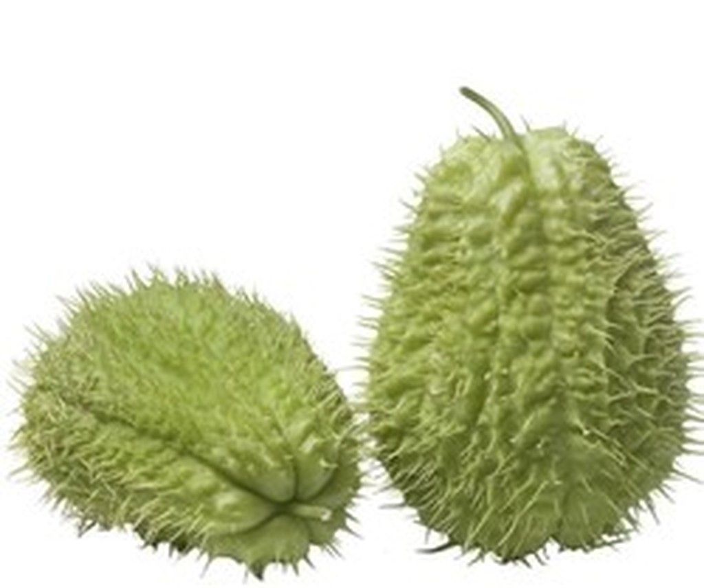 Chayote: Fruta exótica y plantas para cultivo en huertos — Viveros ...