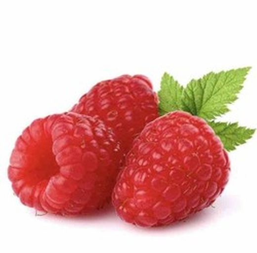 Frutos del Bosque: Bayas y frutas tropicales para cultivar — Viveros ...