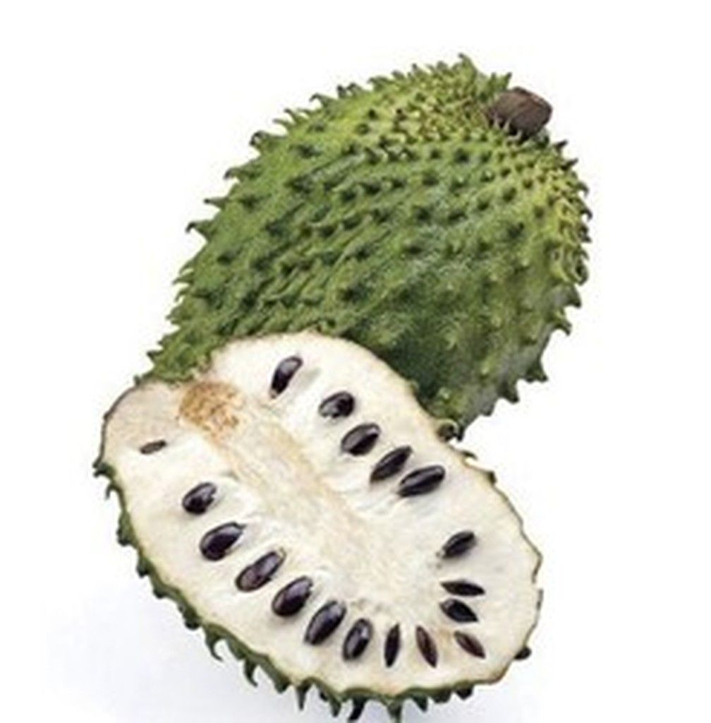 Guanábana: Fruta tropical y árbol para cultivo en huertos — Viveros ...