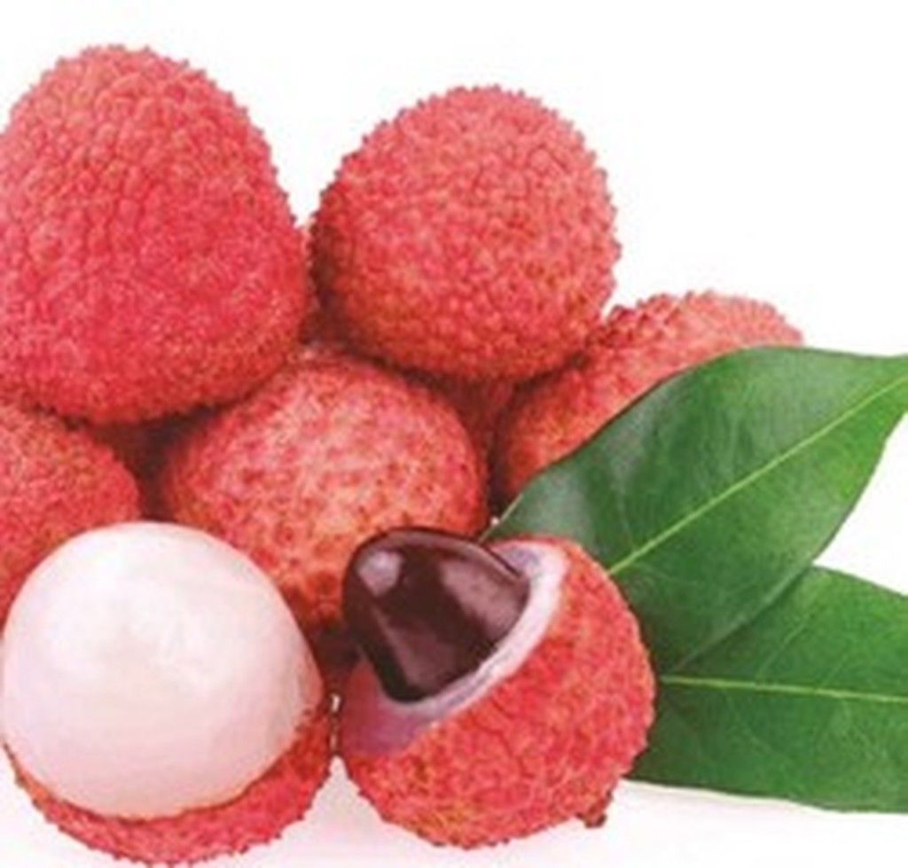 Litchi: Fruta exótica y árboles tropicales para cultivo — Viveros ...