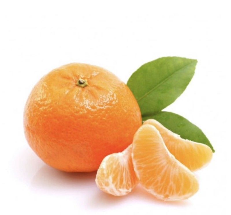 Mandarino Variedad Clementina o Clemenules / planta de 2 años — Viveros ...