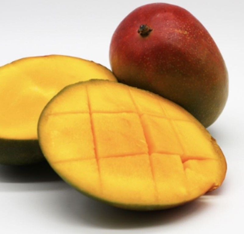 Planta o árbol de Mango (Mangifera indica) Variedad Sensación/Patrón ...