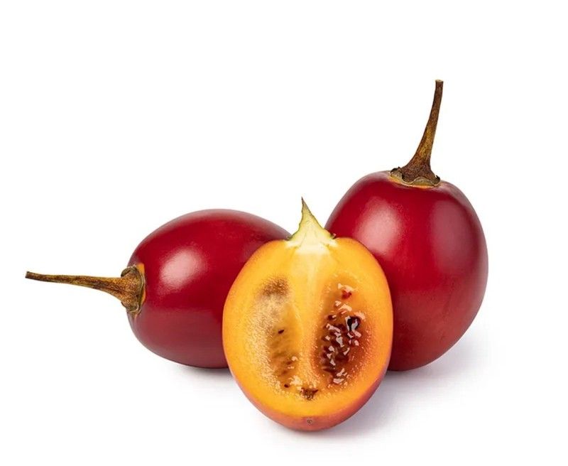 Tamarillo o Tomate de árbol( solanum betaceum) planta de 1 año ...